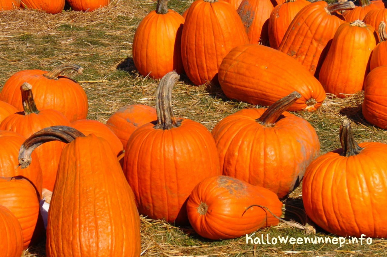 Halloween tök készítés lépésről lépésre (KÉPEKKEL) - Halloween ünnep